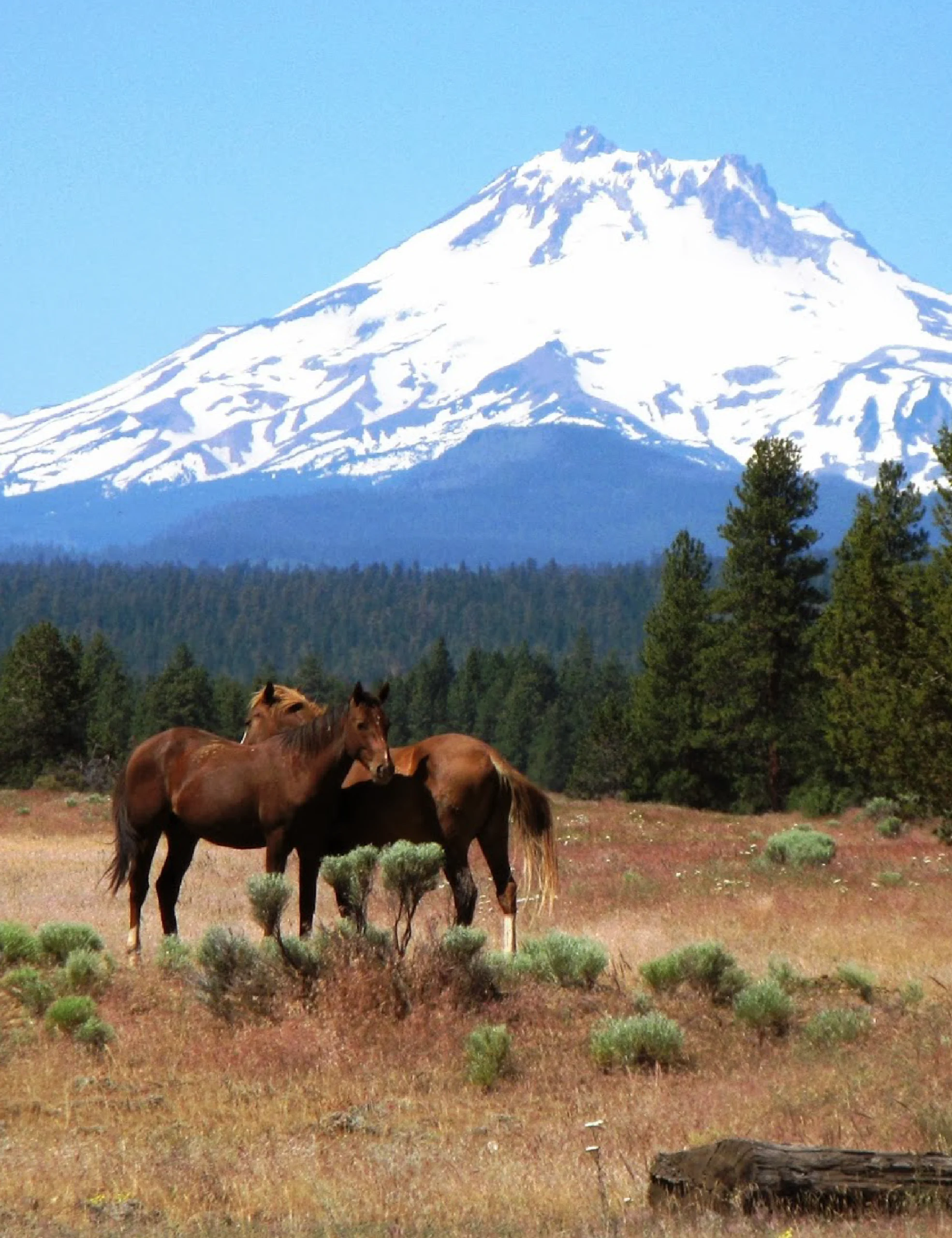 Destinations – Meet the Guides
